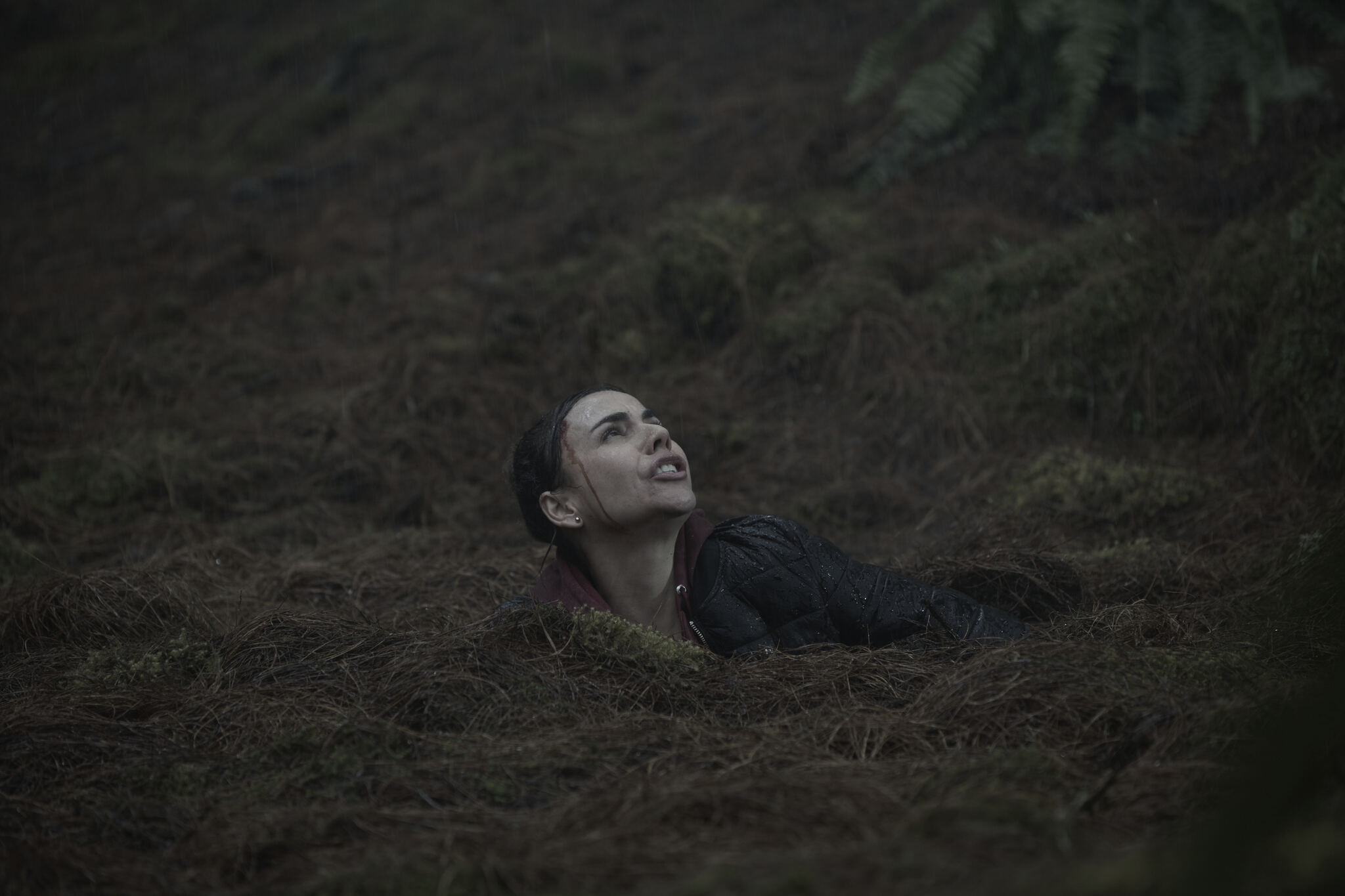 “Quicksand” – Screen Zealots