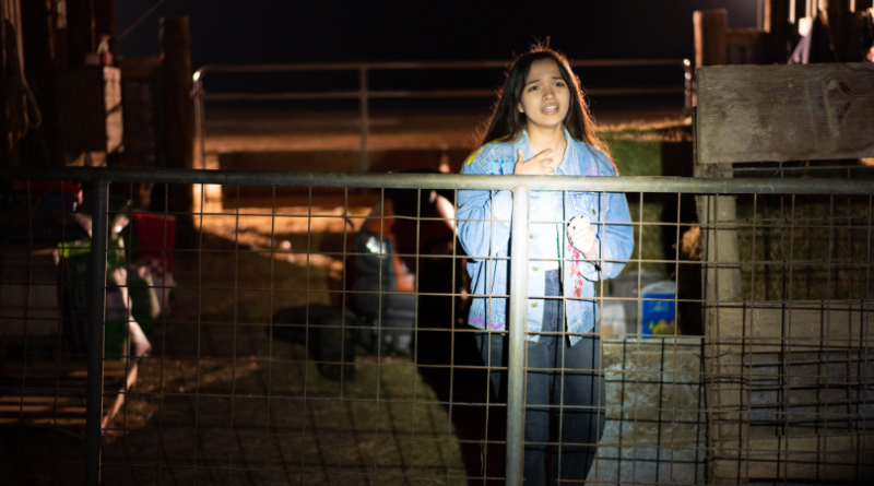 “Marisol” – Screen Zealots